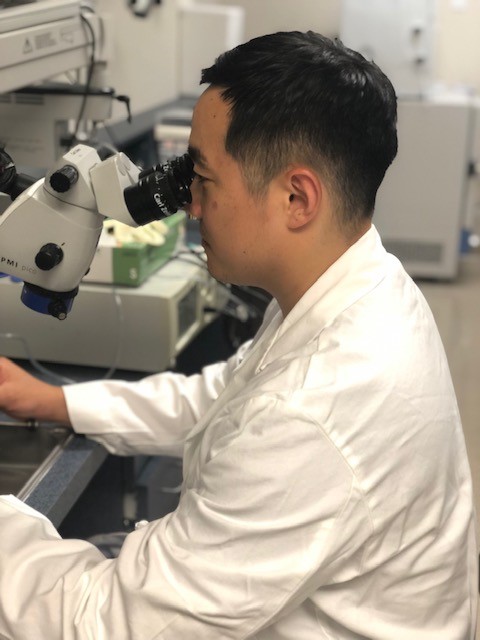 Research | Ear Research Foundation