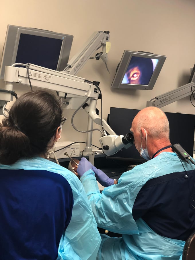 Research | Ear Research Foundation