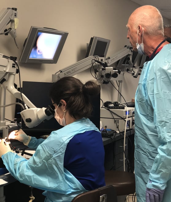 Research | Ear Research Foundation